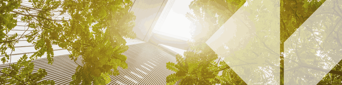 Cemex Ventures - Fostering the construction revolution