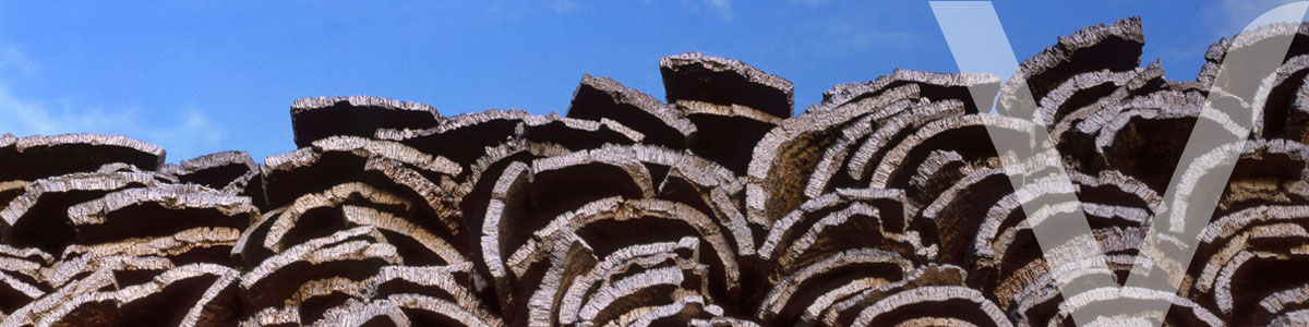 Cemex Ventures - Fostering the construction revolution